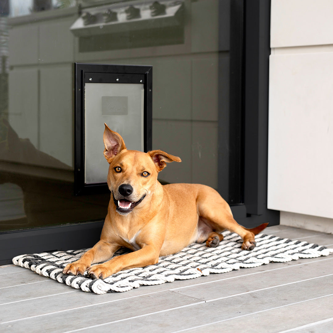 Hakuna Pets | Freedom To Roam!