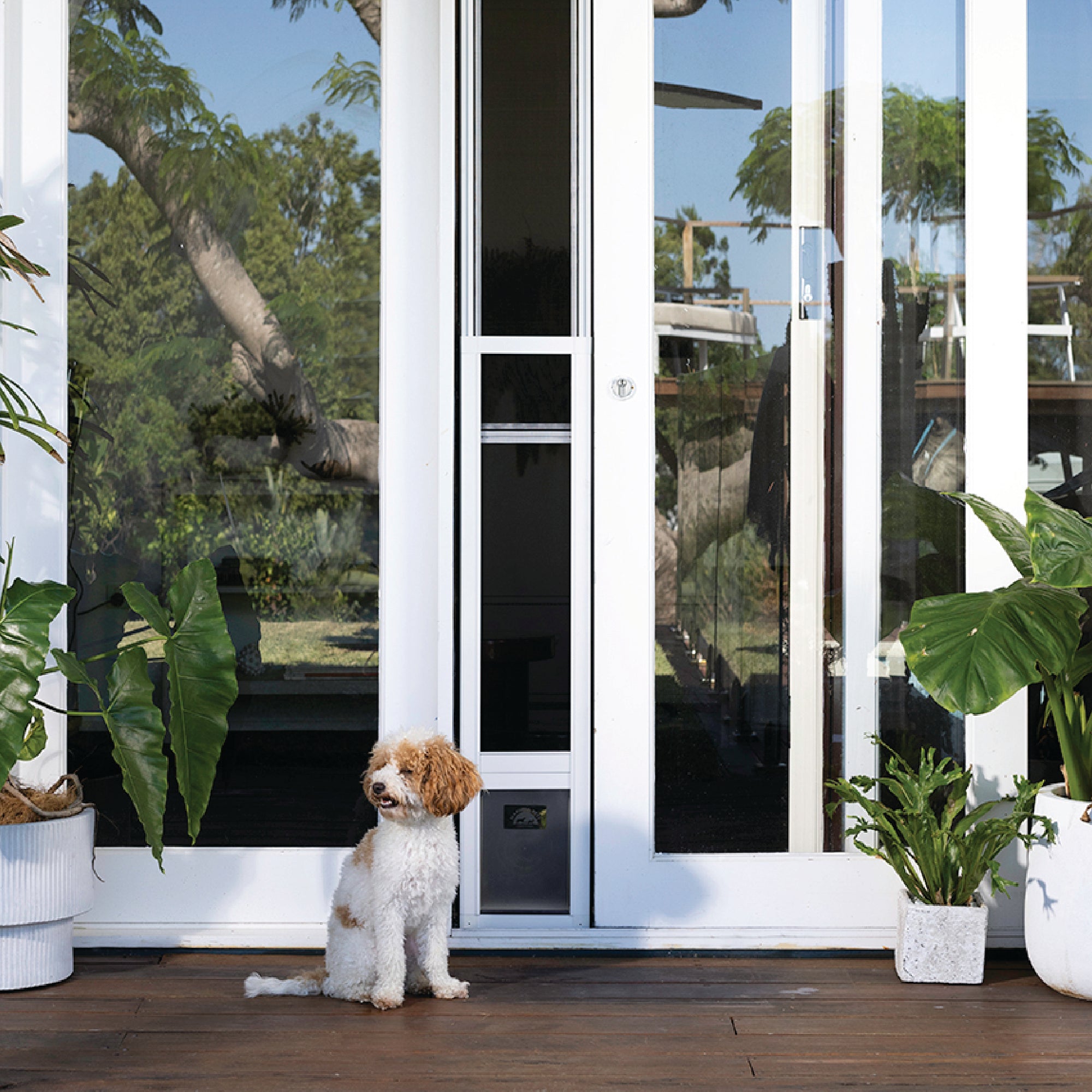Hakuna Pets: Rental Friendly Doors & Gates For Dogs & Cats – Hakuna Pets US