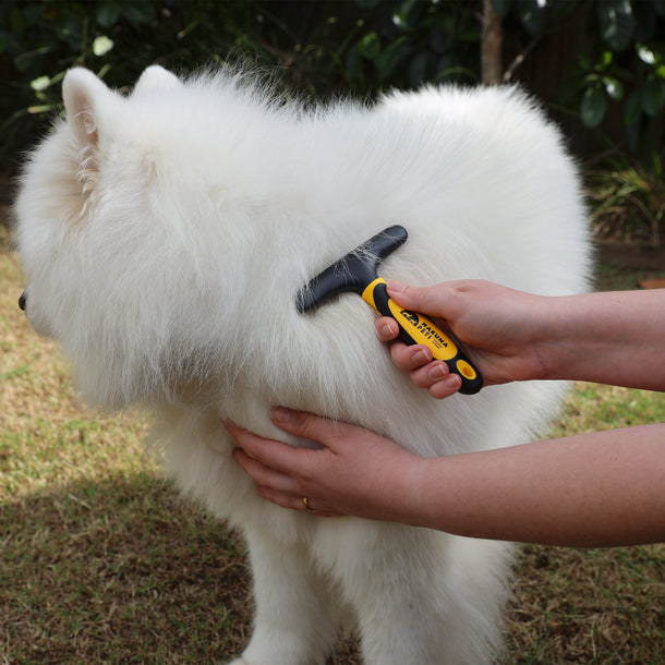Pet Grooming Brush – Hakuna Pets US